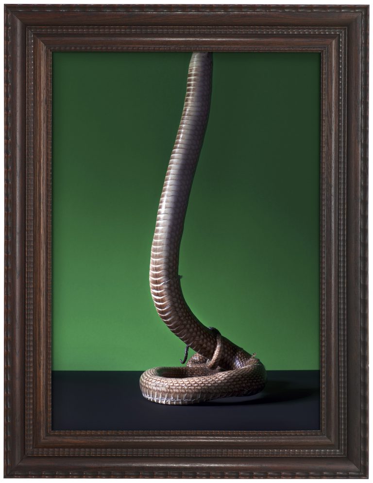 Oliver Mark | Artist | ARTITIOUS