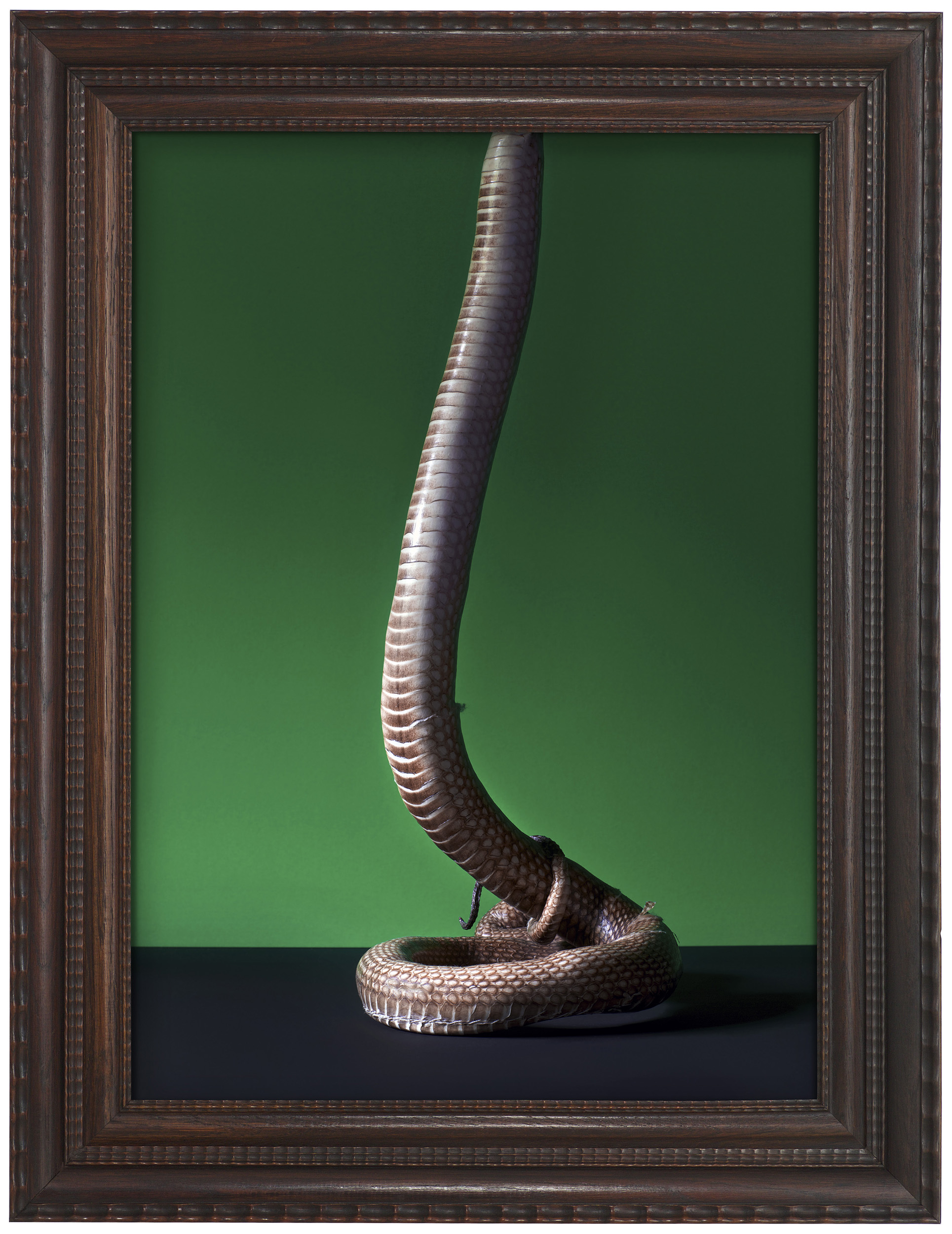 Oliver Mark | Artist | ARTITIOUS