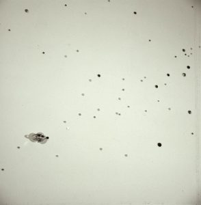 Thomas Eller | Artist | ARTITIOUS