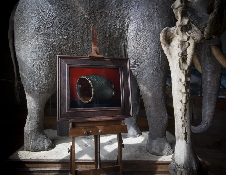 Oliver Mark | Artist | ARTITIOUS